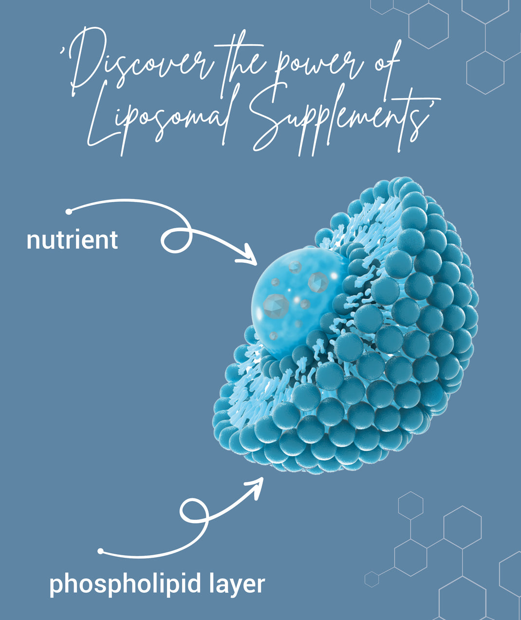 Wat zijn liposomen? | VROVIT over voordelen van liposomale vitamines ...